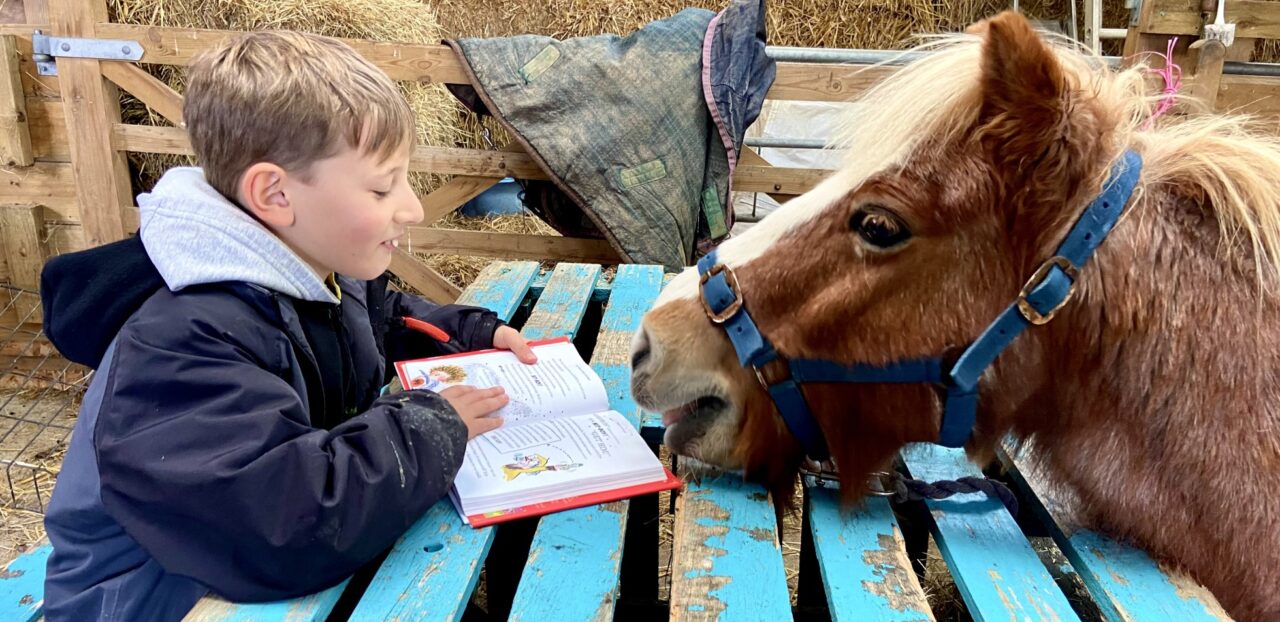 What We Do at Apple Tree Farm in North Devon