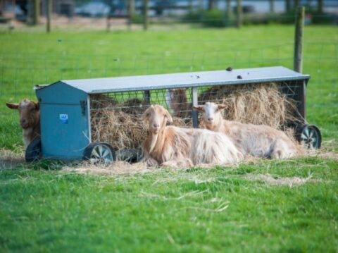 Apple Tree Farm Services CIC in North Devon